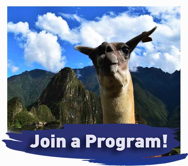 Educational Travel in Cusco, Peru | Maximo Nivel Peru