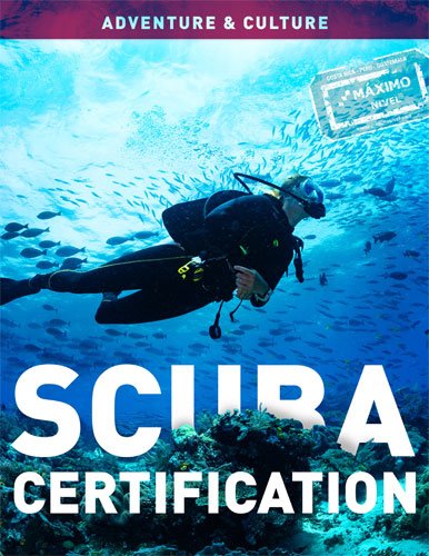 Download our International Programs Brochure | Maximo Nivel