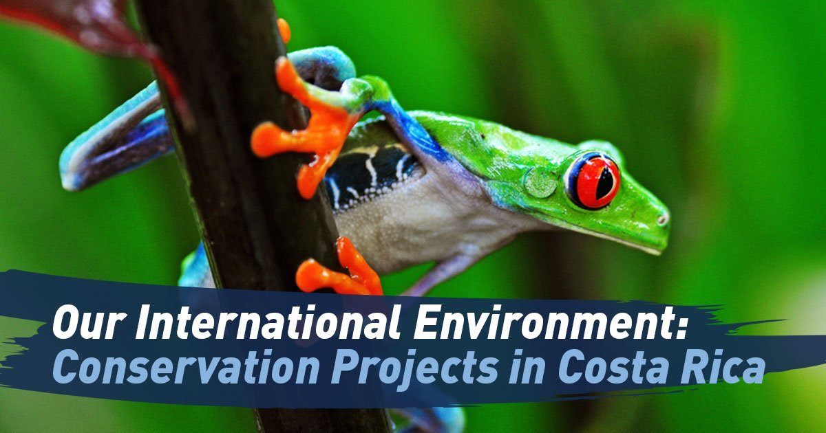 Conservation Projects in Costa Rica | Maximo Nivel